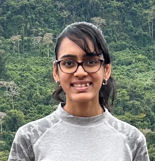 Case Catalyst | Mentors